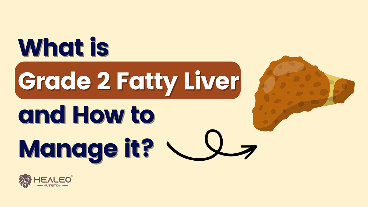 What Is Grade 2 Fatty Liver And How To Manage It What Is Grade 2 Fatty Liver And How To Manage It