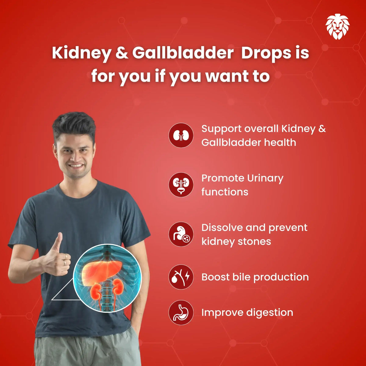 Brain Fuel Drops | Nootropic Brain Booster | Healeo