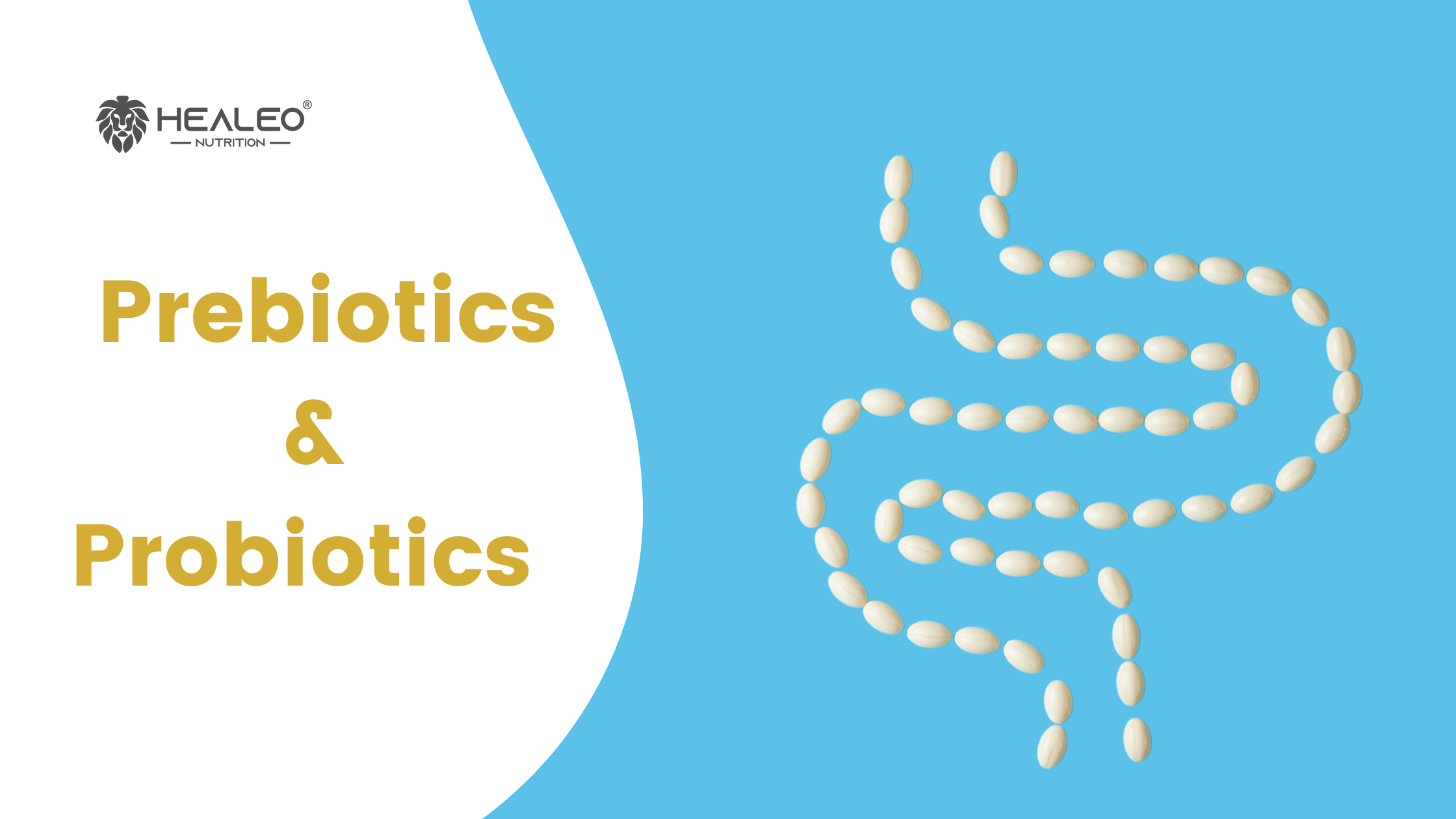 Probiotics & Prebiotics: What you need to know | Healeo Nutrition