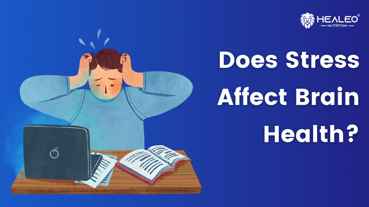 Does Stress Affect Your Brain?| Healeo Nutrition