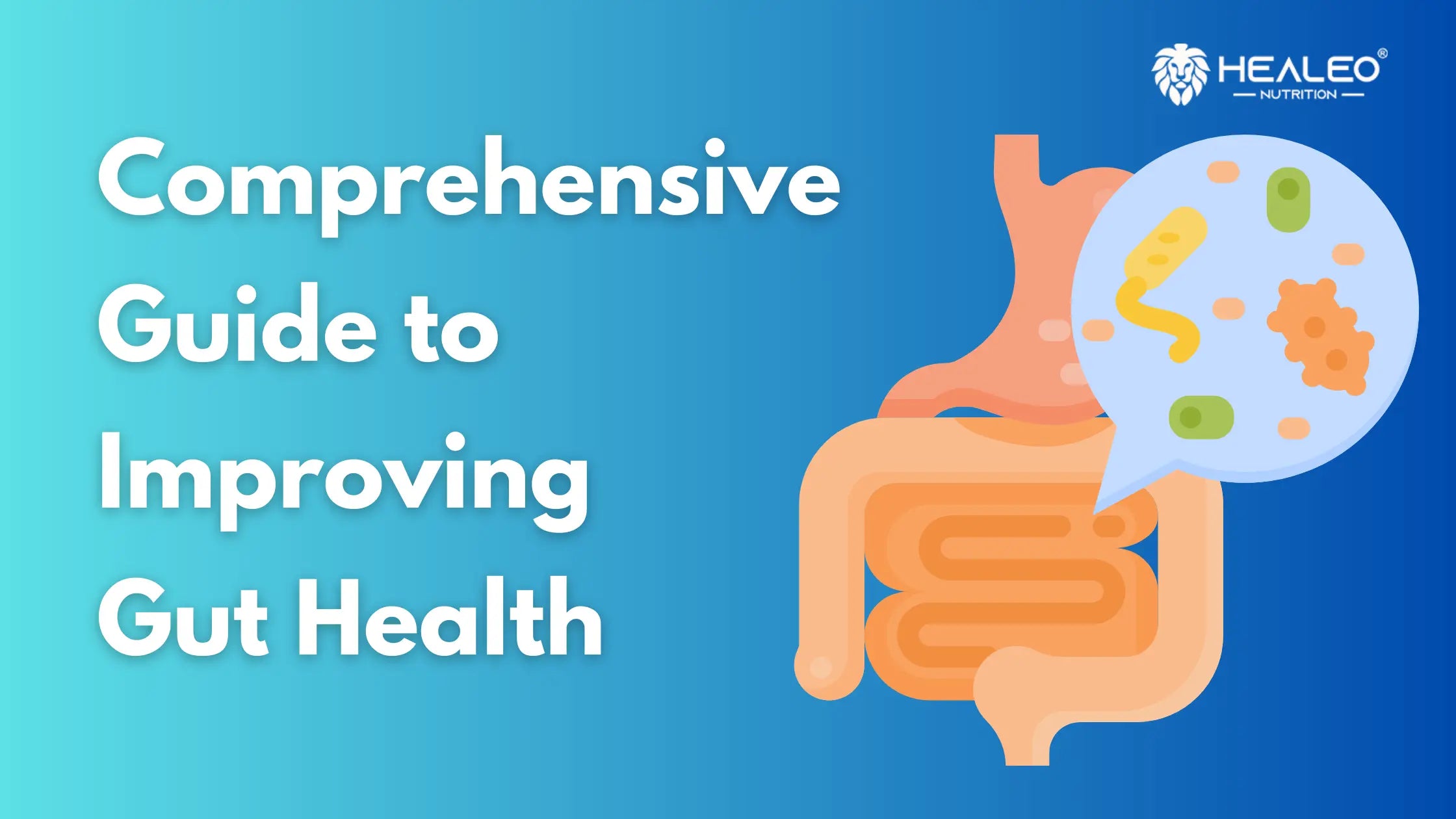 Comprehensive Guide to Improving Gut Health for Optimal Wellness