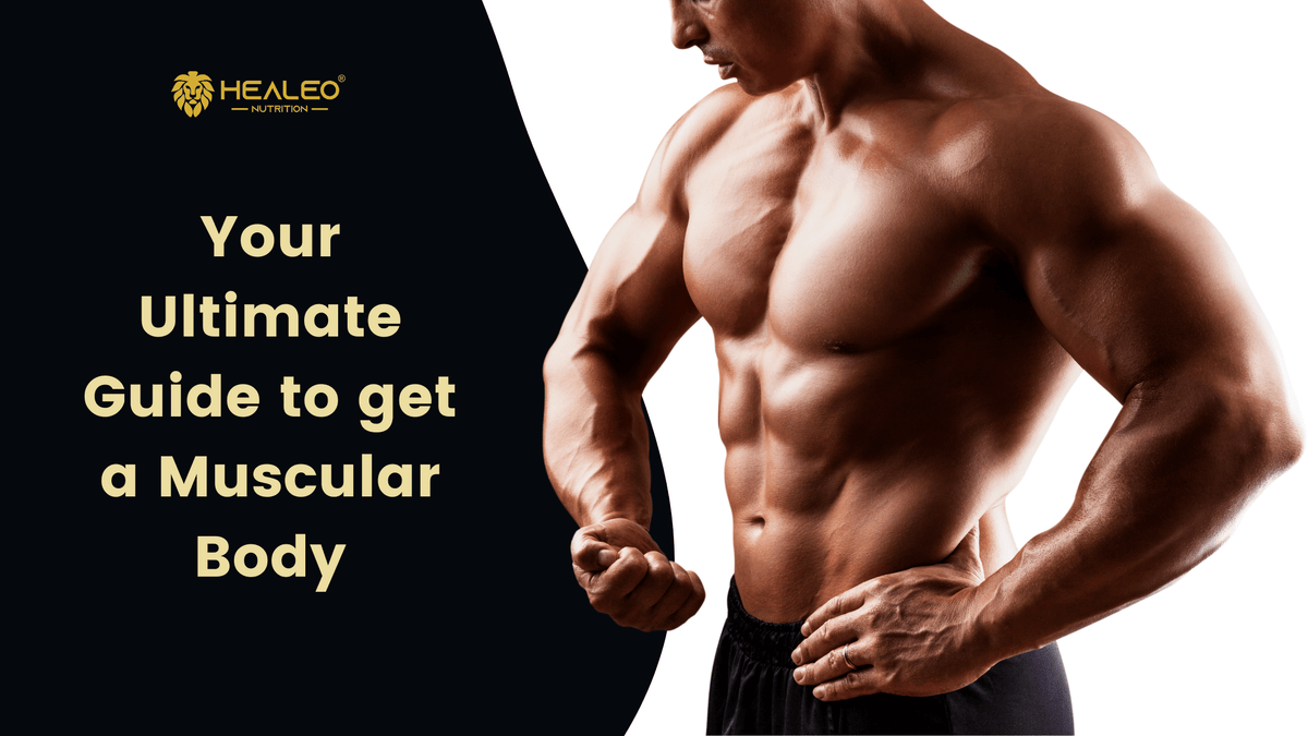 Your Ultimate Guide to get a Muscular Body | Healeo Nutrition