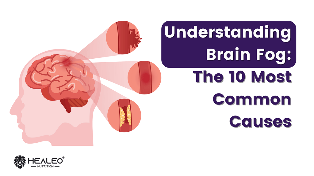 Understanding Brain Fog: The 10 Most Common Causes | Healeo Nutrition
